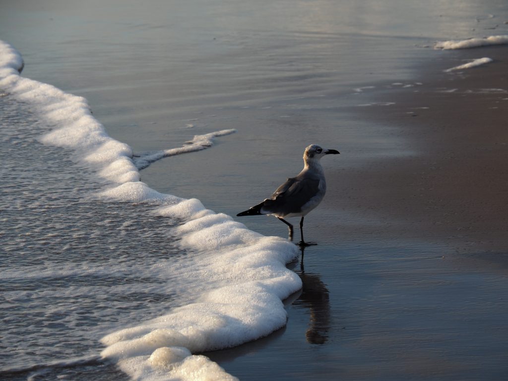 From Idea to Impact: Navigating the AI Application Journey – Pragmatic ...